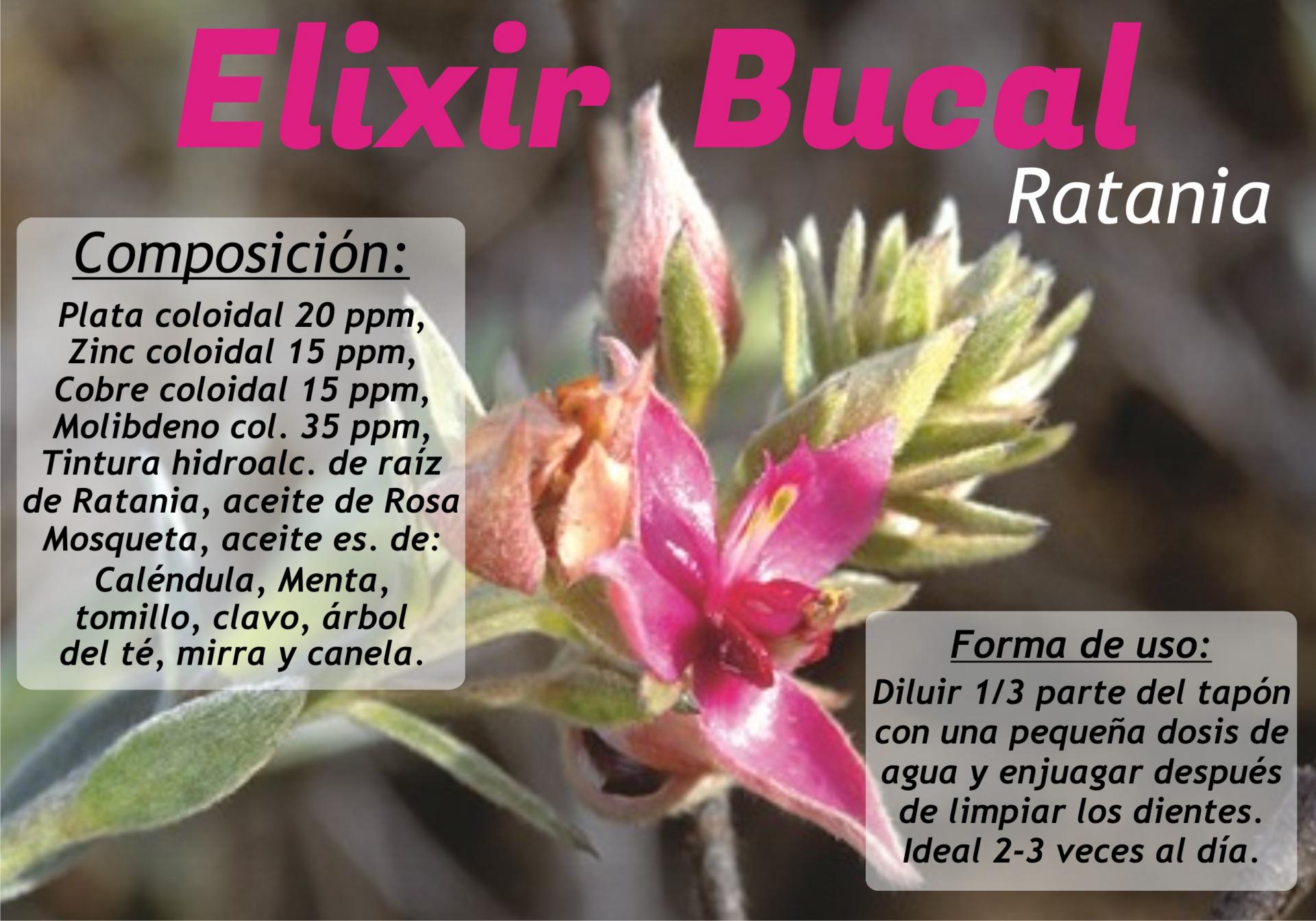 ELIXIR BUCAL CON RATANIA 100 ML Precios Comprar ELIXIR BUCAL CON ELIXIR BUCAL CON RATANIA 100 ML Precios Comprar ELIXIR BUCAL CON