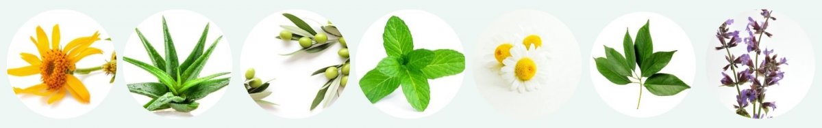 Tienda Oficial Gel SinDolor ® Sin Dolor Gel Original